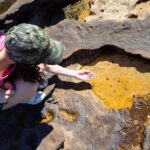 Sydney Harbour National Park 2-Hour Walking Tour - The Sum Up