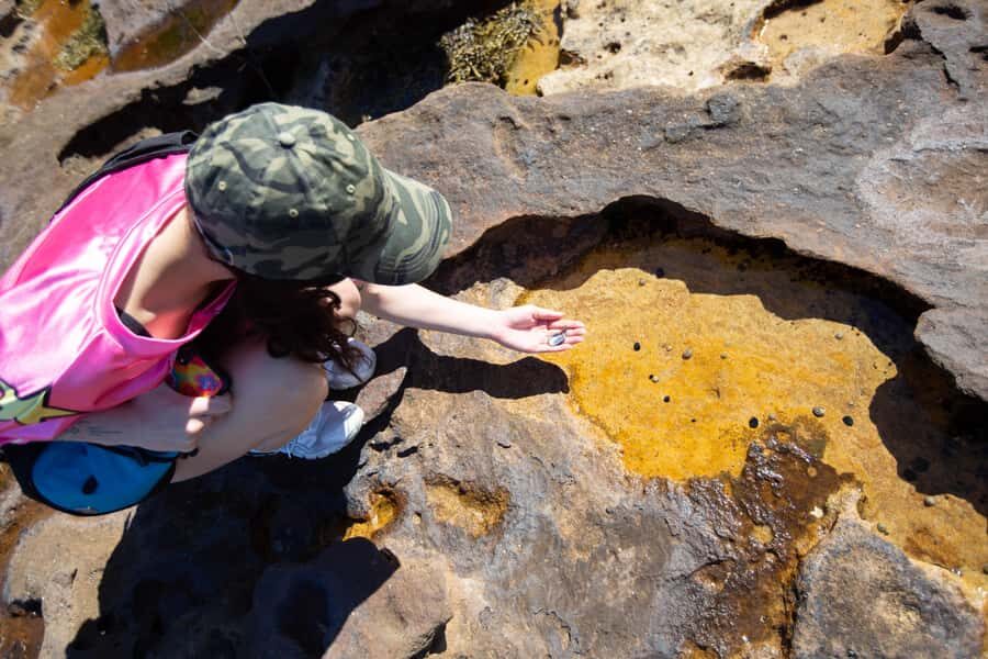 Sydney Harbour National Park 2-Hour Walking Tour - The Sum Up