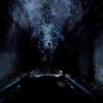 Sydney: Helensburgh Glow Worm Tunnel Tour with Transfer - The Experience on the Ground: What You’ll See and Feel