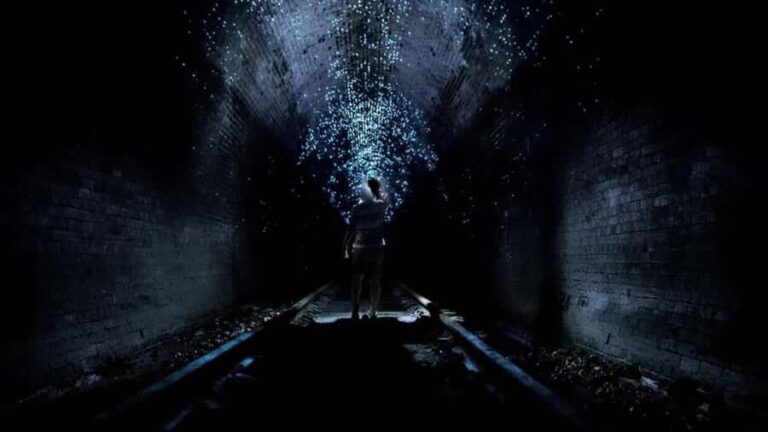 Sydney: Helensburgh Glow Worm Tunnel Tour with Transfer - The Experience on the Ground: What You’ll See and Feel