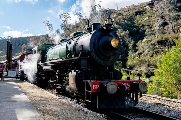 Sydney: Heritage Zig Zag Steam Train and Blue Mountains Tour - Practical Details and What to Expect