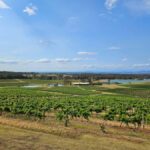 Sydney Hunter Valley Tour (Private) - Final Thoughts