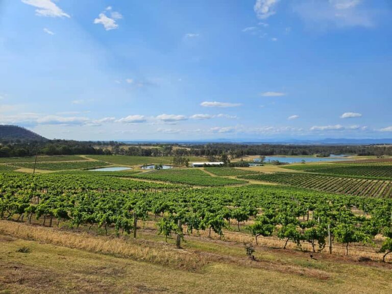 Sydney Hunter Valley Tour (Private) - Final Thoughts