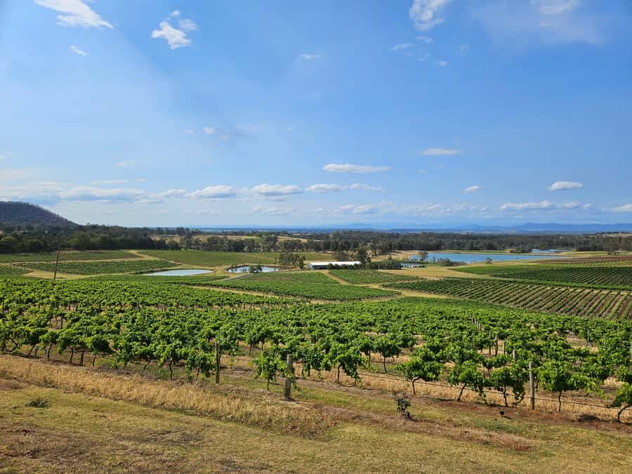 Sydney Hunter Valley Tour (Private) - Final Thoughts