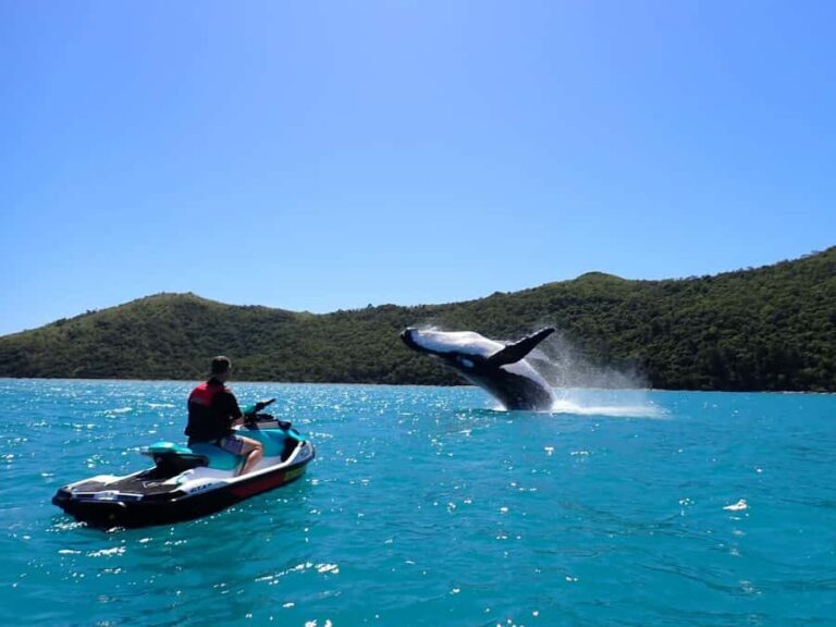 Sydney: Jet Ski Rental with Snorkeling Gear - Exploring Sydney’s Waterways on a Jet Ski