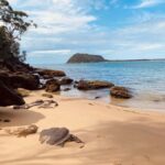 Sydney: Ku-ring-gai National Park with swim and picnic - Practical Details and Tips