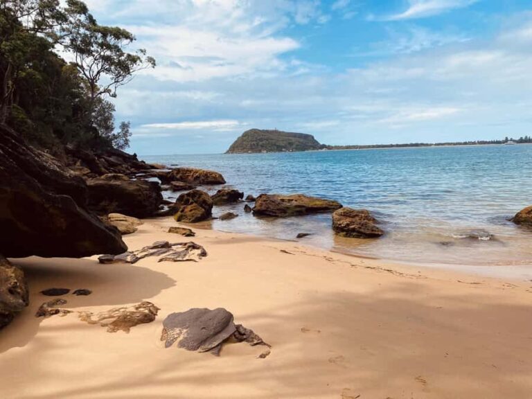 Sydney: Ku-ring-gai National Park with swim and picnic - Practical Details and Tips