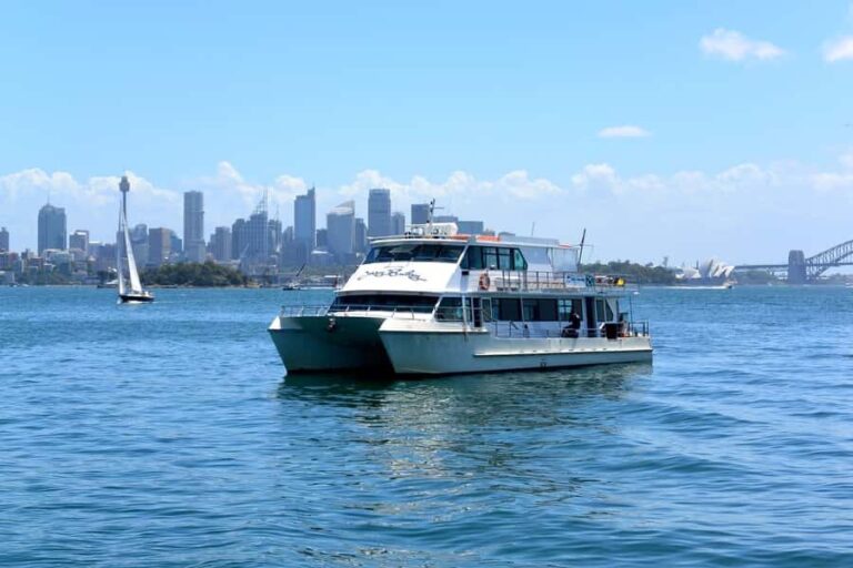 Sydney: Morning Sightseeing Bus to Bondi with Lunch Cruise - What Makes This Tour Special