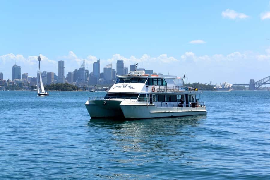 Sydney: Morning Sightseeing Bus to Bondi with Lunch Cruise - What Makes This Tour Special