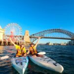 Sydney: Opera & Harbour Bridge Small-Group Kayak Tour - What to Expect from the Itinerary