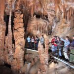 Sydney Private Walking Tour with a Local - A Deep Dive into What You Can Expect