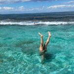 Sydney: Royal National Park Day Trip with Picnic and Swim - Practical Details & What You Can Expect