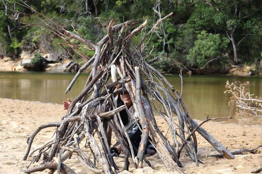 Sydney: Royal National Park private day tour - Why This Tour Works for You