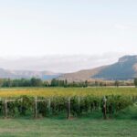 Sydney to Hunter Valley Wine Tour | Gin, Lunch, Chocolatier Visit - The Value of the Experience