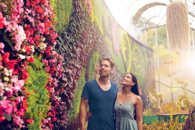 Sydney Walking Tour Groups - Hidden Gems - The Sum Up: Is This Tour Right for You?