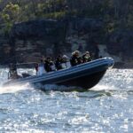 Sydney Whale Watching on Small RIB - What Travelers Say About Their Experience
