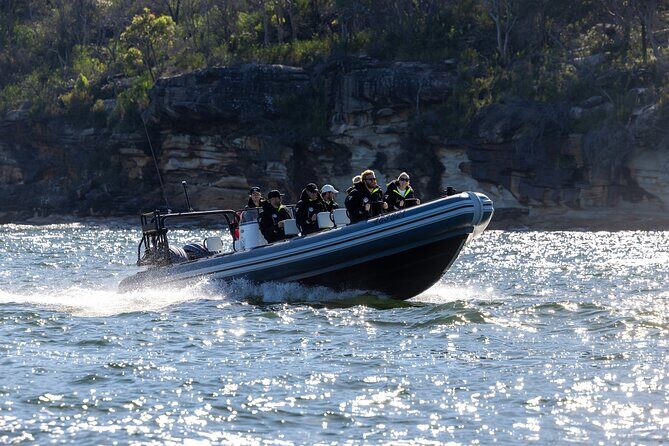Sydney Whale Watching on Small RIB - What Travelers Say About Their Experience