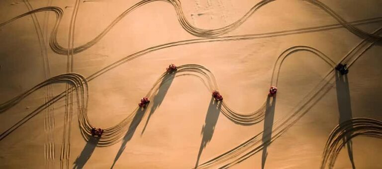 Sydney:Dolphin Watching and Sandboarding in Port Stephens - Practical Insights for Travelers