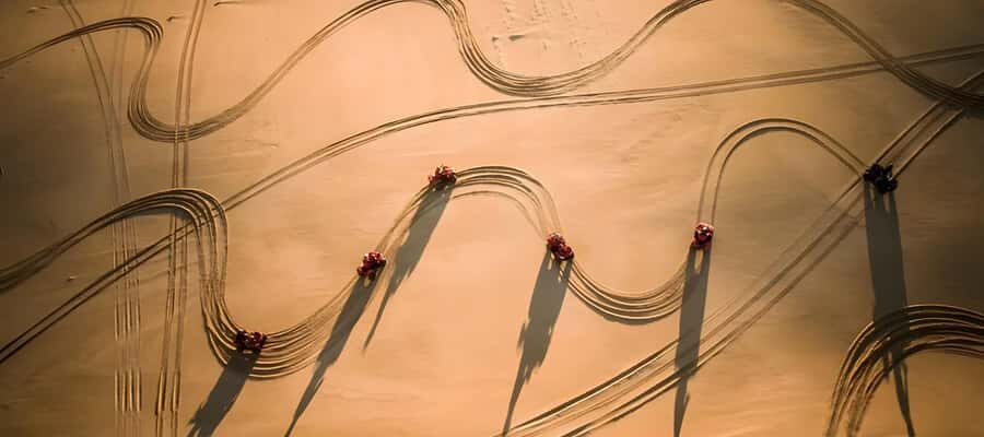 Sydney:Dolphin Watching and Sandboarding in Port Stephens - Practical Insights for Travelers