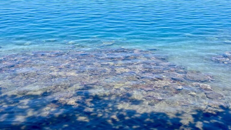 Tahiti : Tour de lîle Côte Est et Côte Ouest (Full Day) - Transportation and comfort