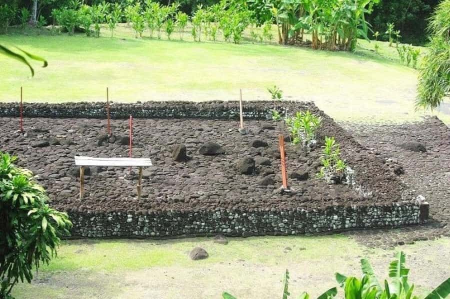 Tahiti: West and East Coast Island Tour with Waterfalls - The Experience: What Travelers Are Saying