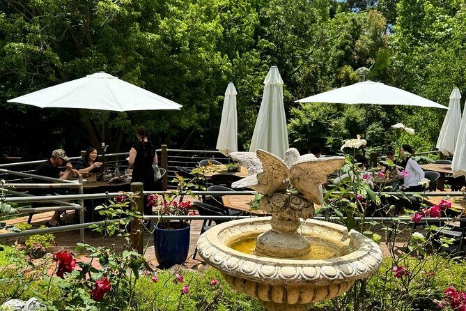 Tamborine Explorer from Brisbane - Authentic Opinions from Past Travelers