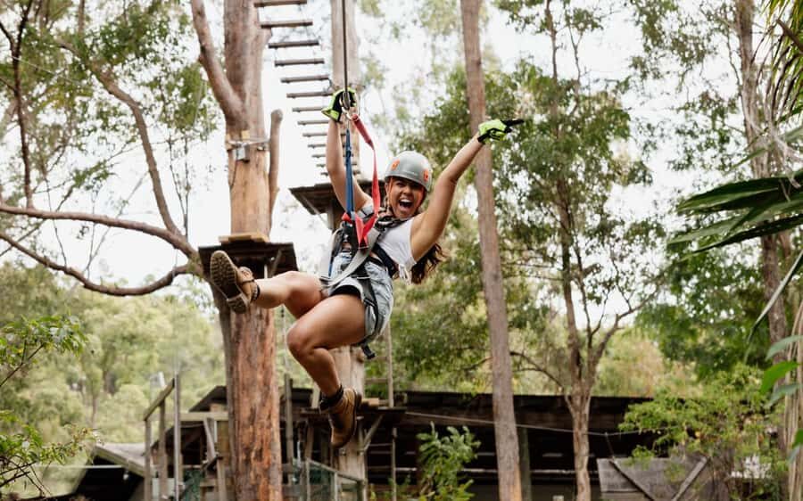 Tamborine Mountain: TreeTop Challenge Adventure Park - Final Thoughts