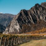 Taste of Gibbston private Wine Tour from Queenstown and return. - A Deeper Look into the Itinerary