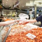 Taste of Sydney Tour (mini coach) - Exploring the Itinerary in Detail