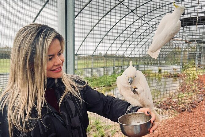 TASTE OF THE WHEATBELT private day tour to New Norcia and beyond. - Why This Tour Offers Value