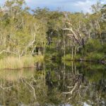 Tasty Noosa Everglades - Pricing and Value
