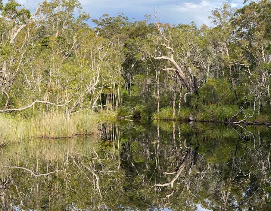 Tasty Noosa Everglades - Pricing and Value