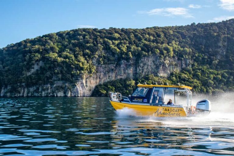 Taupo: Lake Taupo Western Bays Catamaran Tour with Bush Walk - The Itinerary in Detail