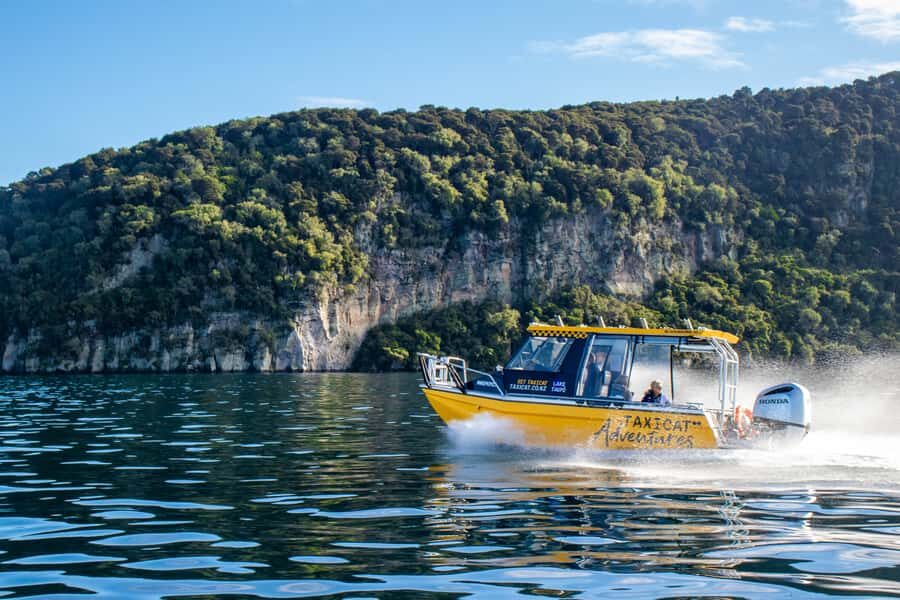 Taupo: Lake Taupo Western Bays Catamaran Tour with Bush Walk - The Itinerary in Detail