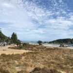 Tauranga City & History Scenic Tour  2 Hours - Why This Tour Works Well for Different Travelers