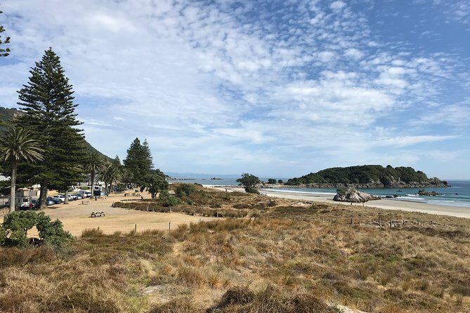 Tauranga City & History Scenic Tour 2 Hours - Why This Tour Works Well for Different Travelers