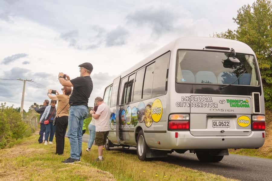 Tauranga City & Scenic Sightseeing 2-hour Tour - Why This Tour is Worth Considering