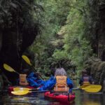 Tauranga: Daytime Scenic Lake McLaren Kayak Tour - Who Is This Tour Best For?