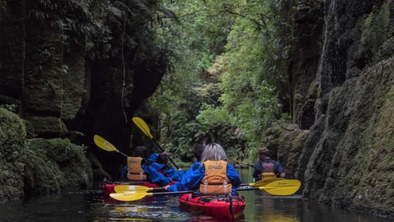 Tauranga: Daytime Scenic Lake McLaren Kayak Tour - Who Is This Tour Best For?