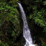 Tauranga: Kiwifruit Destination and Sights Shore Excursion - Why Travelers Love This Tour