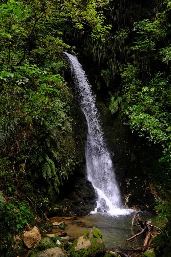 Tauranga: Kiwifruit Destination and Sights Shore Excursion - Why Travelers Love This Tour