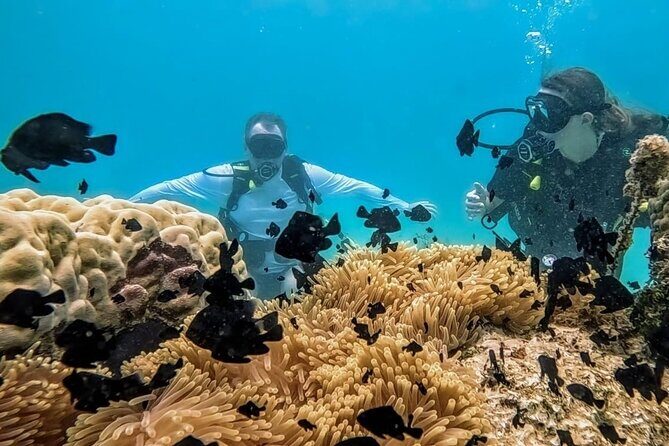 Teahupo'o Jurassic Tour and Private Diving - Diving and Snorkeling: What You Need to Know