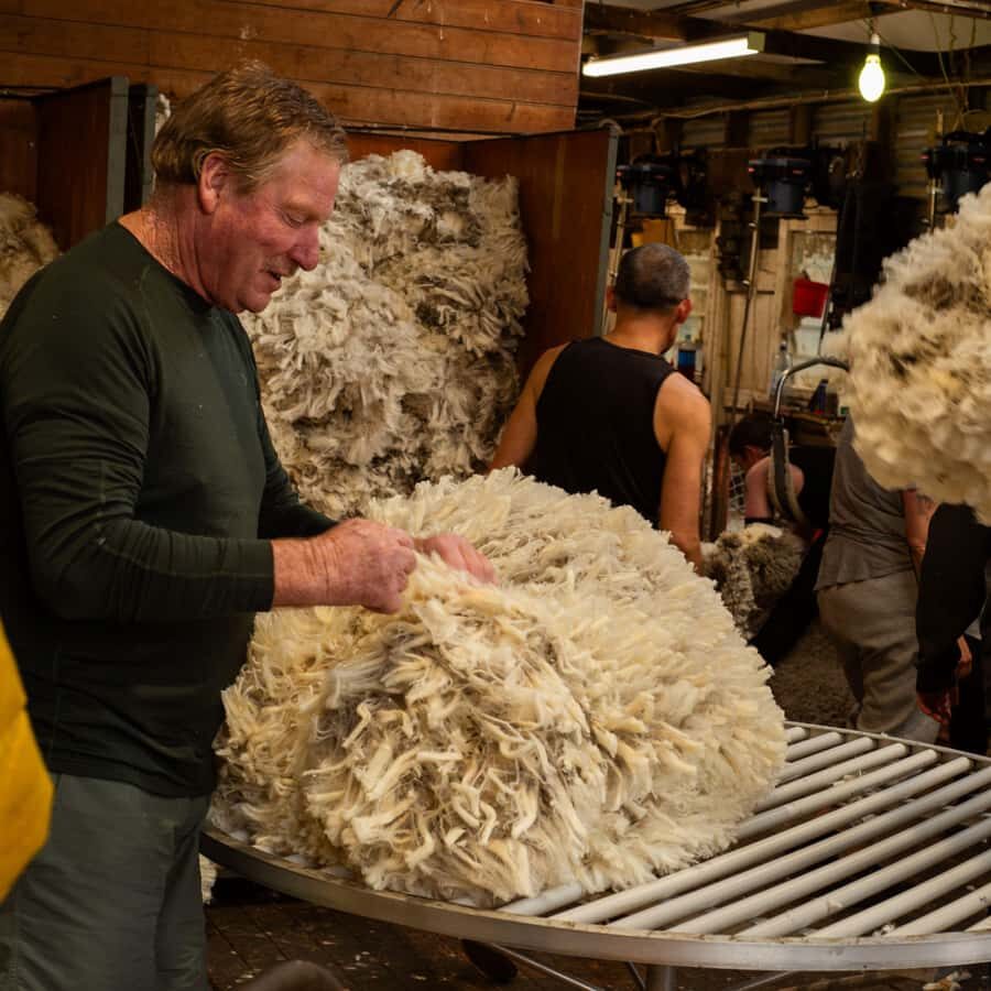 Tekapo: Merino Sheep Shearing and Sheepdog Demonstration - Discovering the Farm Life in Lake Tekapo
