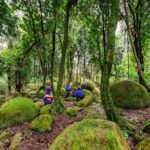 The Boulders Scenic Half Day Float on the Rangitikei River - Why the Guides Make a Difference