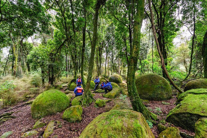 The Boulders Scenic Half Day Float on the Rangitikei River - Why the Guides Make a Difference