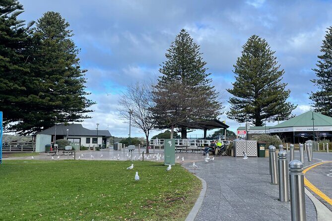 The Luxe South Australia Experience Full Day Tour - Practicalities and Value