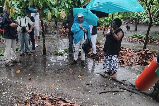 The Solomon Chocolate trail - What Makes This Tour Unique?