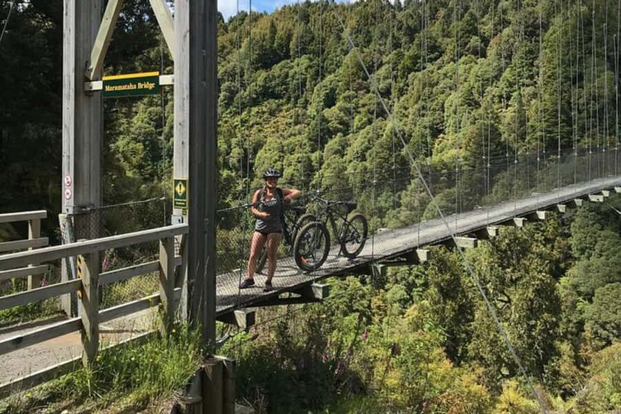 Timber Trail One Day Mountain Bike Ride - Shuttle Service - The Practical Side: What You Need to Know