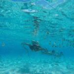 Toa Boat Bora Bora Private Lagoon Tour On Entertainer Bar Boat - Is This Tour Right for You?