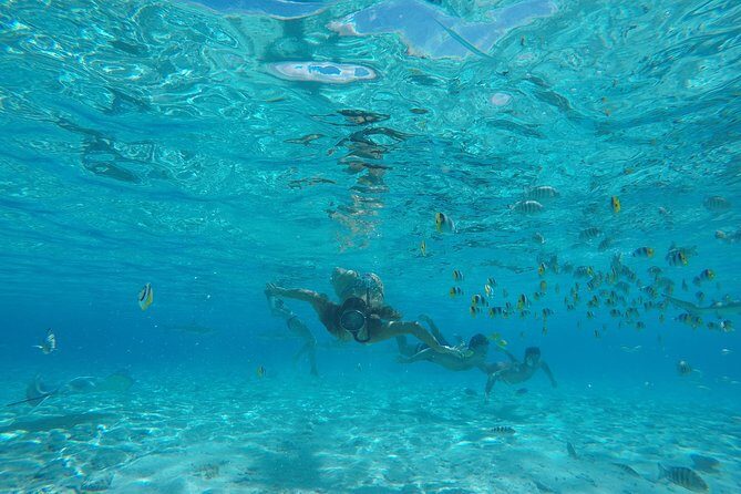 Toa Boat Bora Bora Private Lagoon Tour On Entertainer Bar Boat - Is This Tour Right for You?